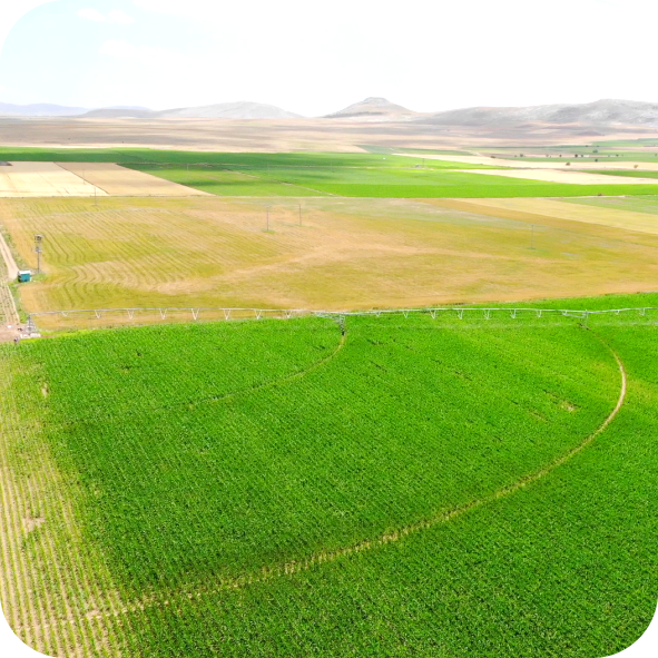 Center Pivot | Atlantis Engineering and Consulting Ltd